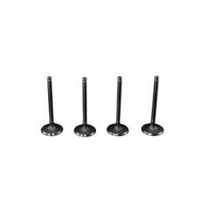 VALVULA ADMISION (4 UNID) CIELO - Dire Asia